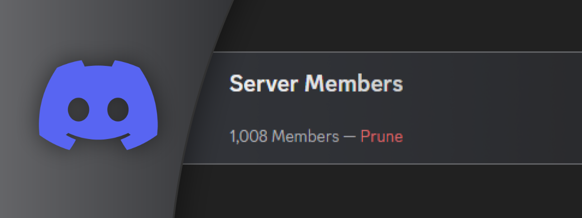 DISCORD – 1000 MEMBERS – RapidMXS